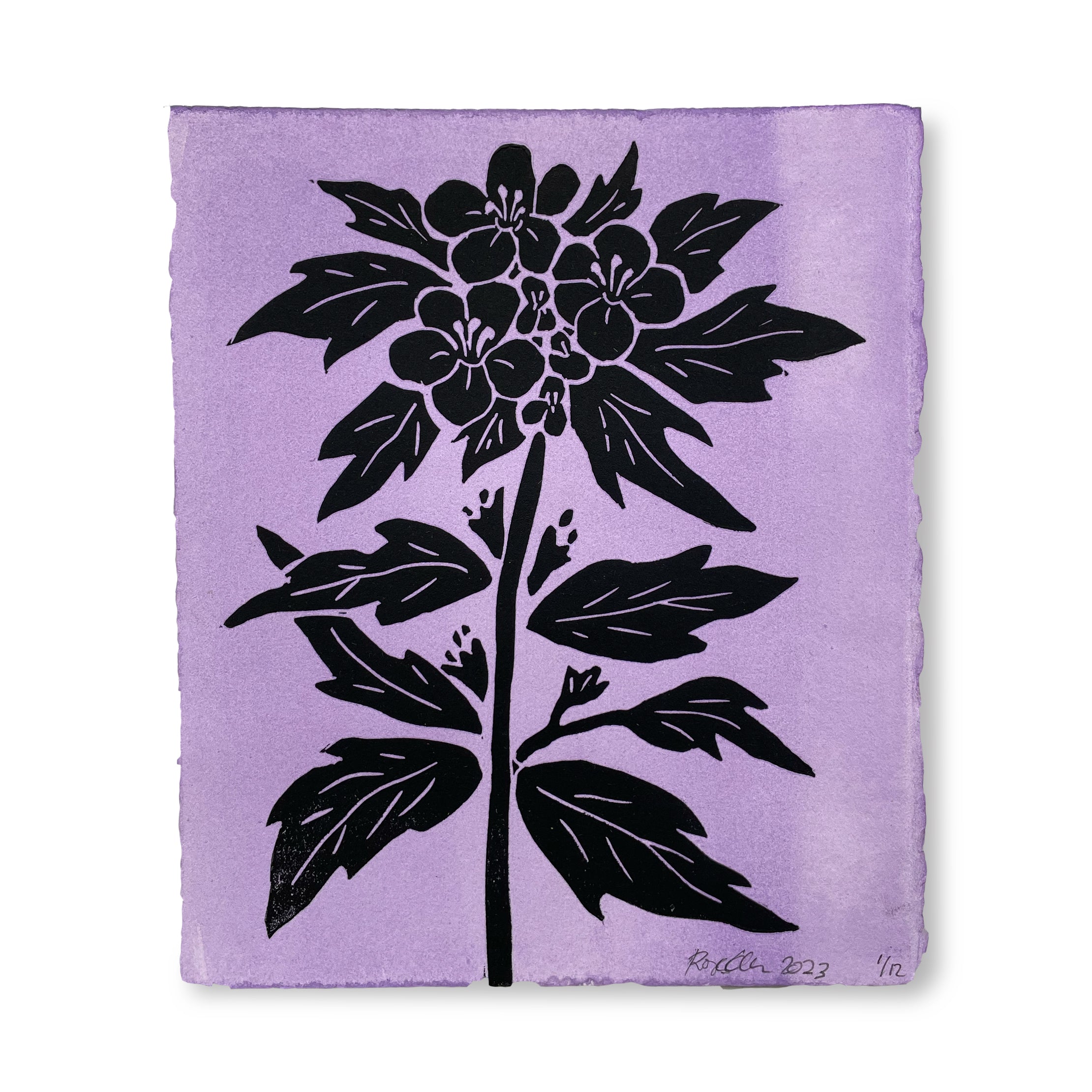 Henbane. 2023 – V1 Gallery