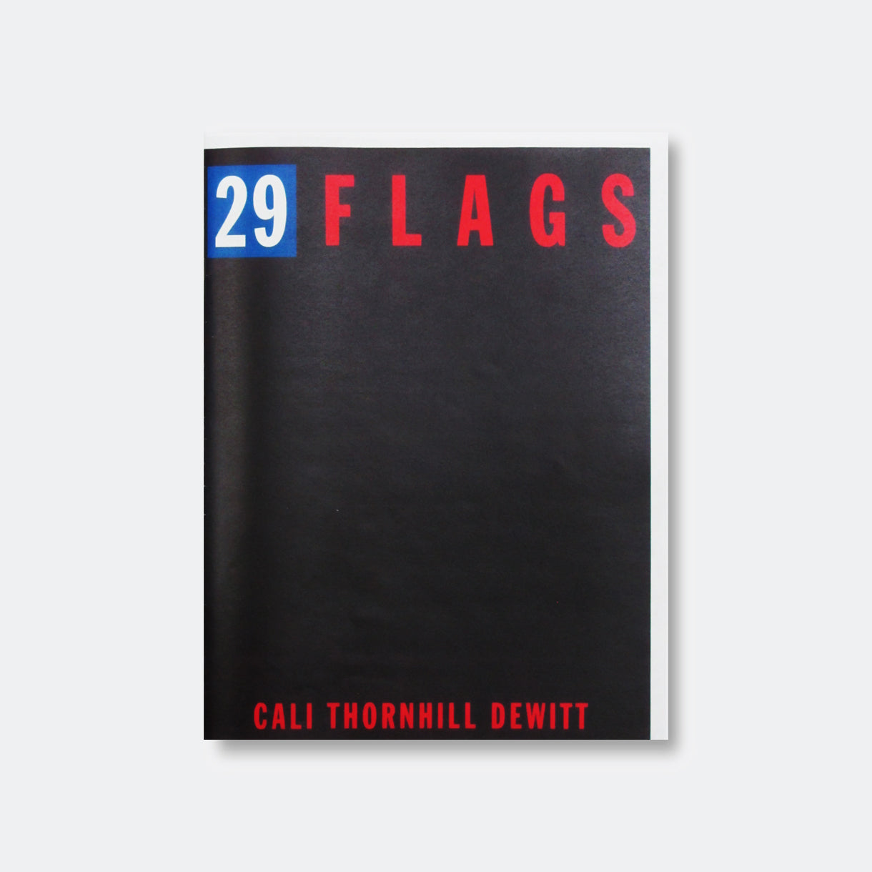 29 Flags (Exhibition Catalogue). 2016 – V1 Gallery